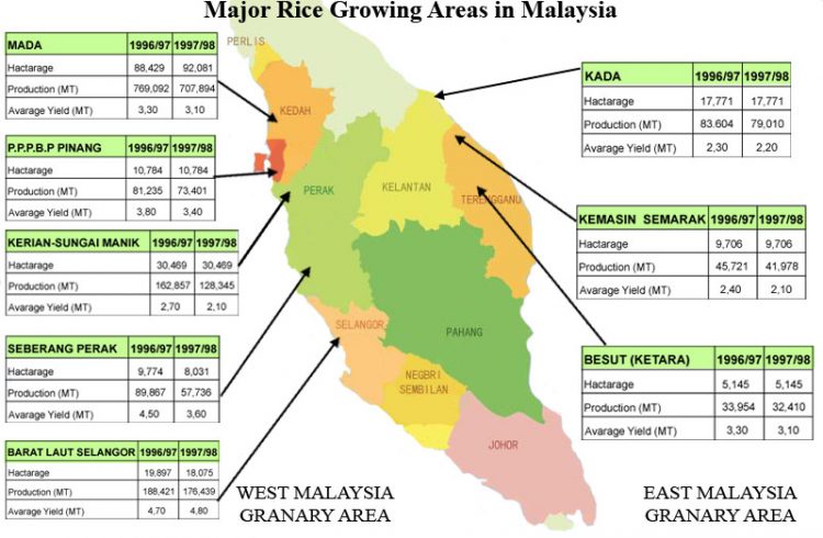 Key Facts – Malaysiarice